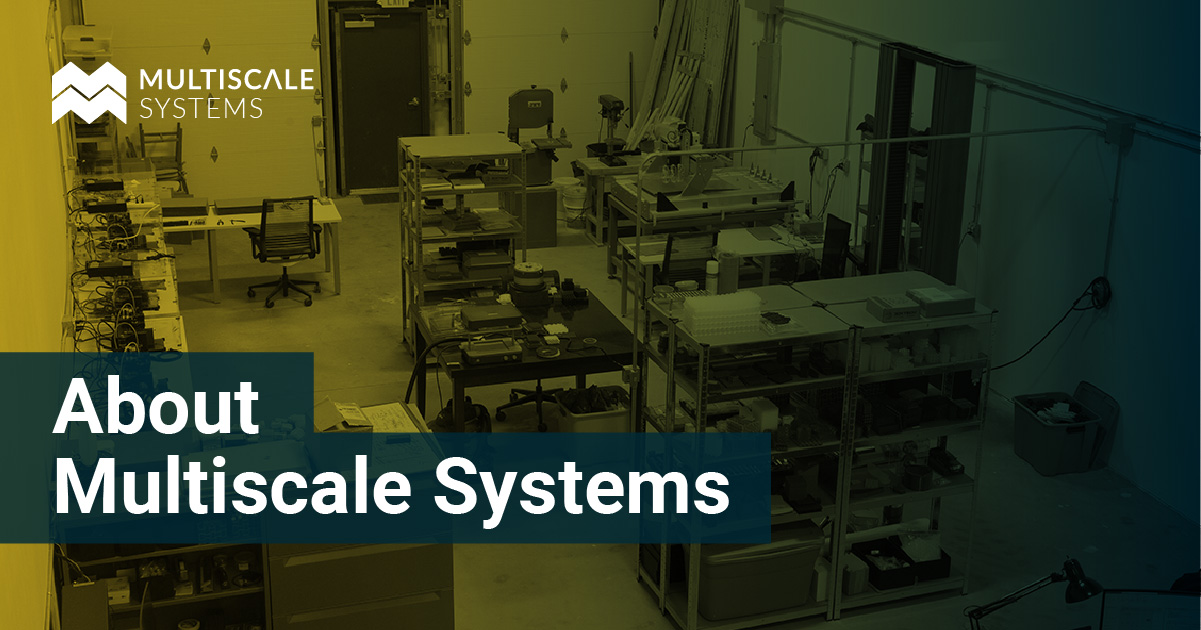 About | Multiscale Systems